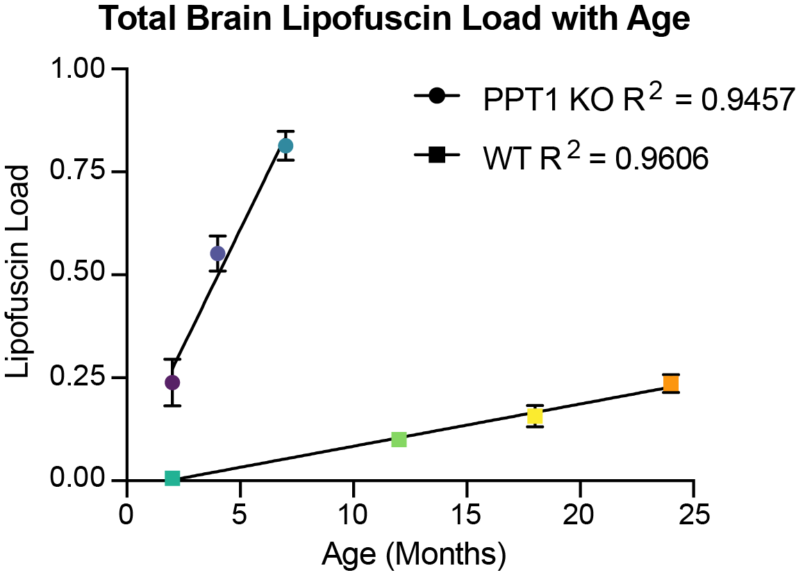 Lipo Paper Visualization